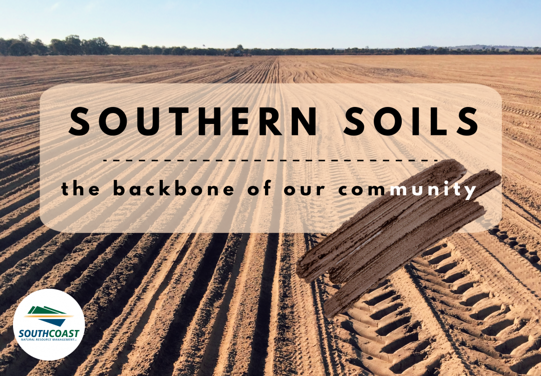 Home - South Coast Natural Resource Management