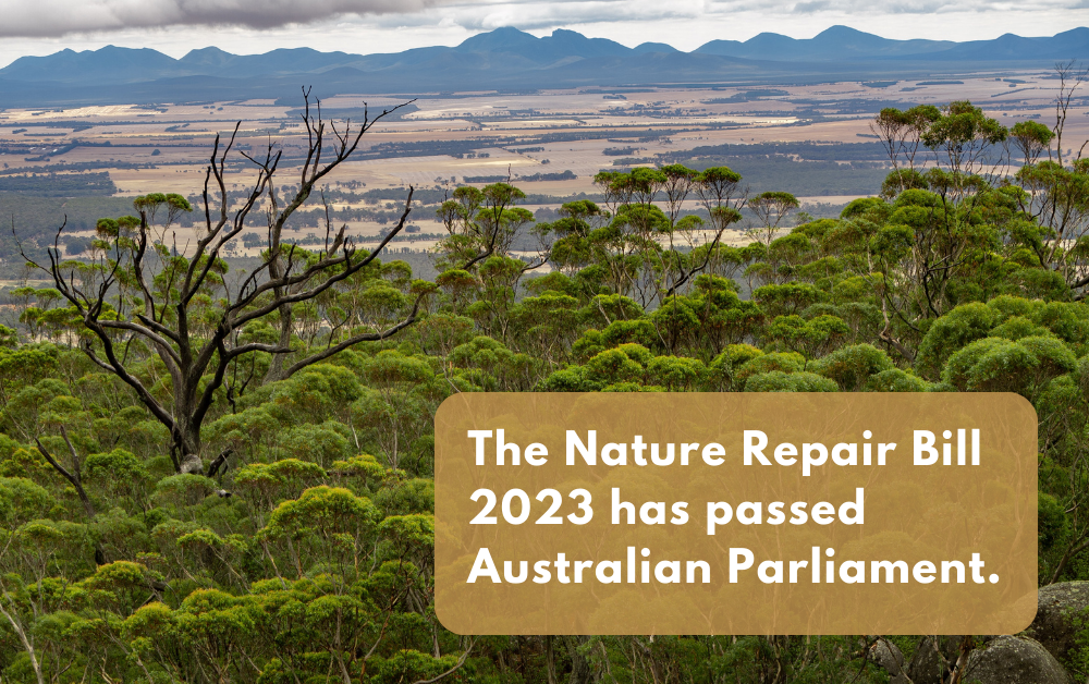 LATEST NEWS - South Coast Natural Resource Management